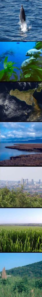 What is an ecosphere? | ECOSPHERES PROJECT